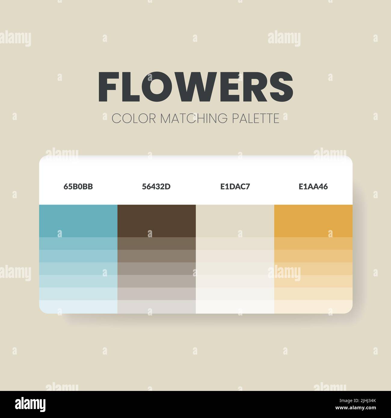 Earth Tone Color Palettes Or Color Schemes Are Trends Combinations And ...