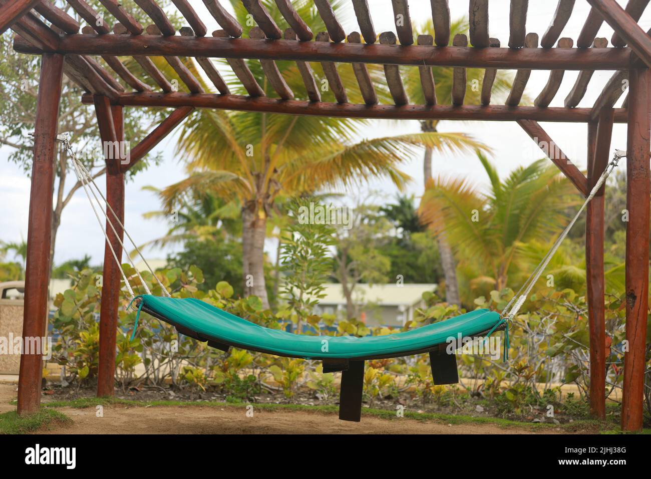 bamboo hammock hanging on tree with green grass, lake and blue sky background. copy space for ...