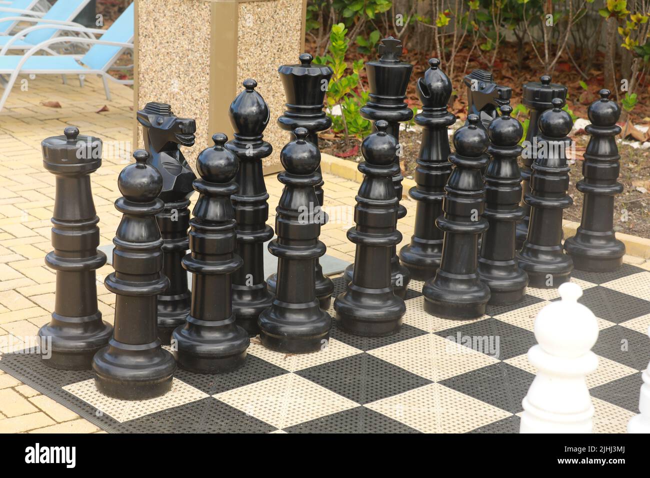 Big outdoor chess on the board Stock Photo - Alamy