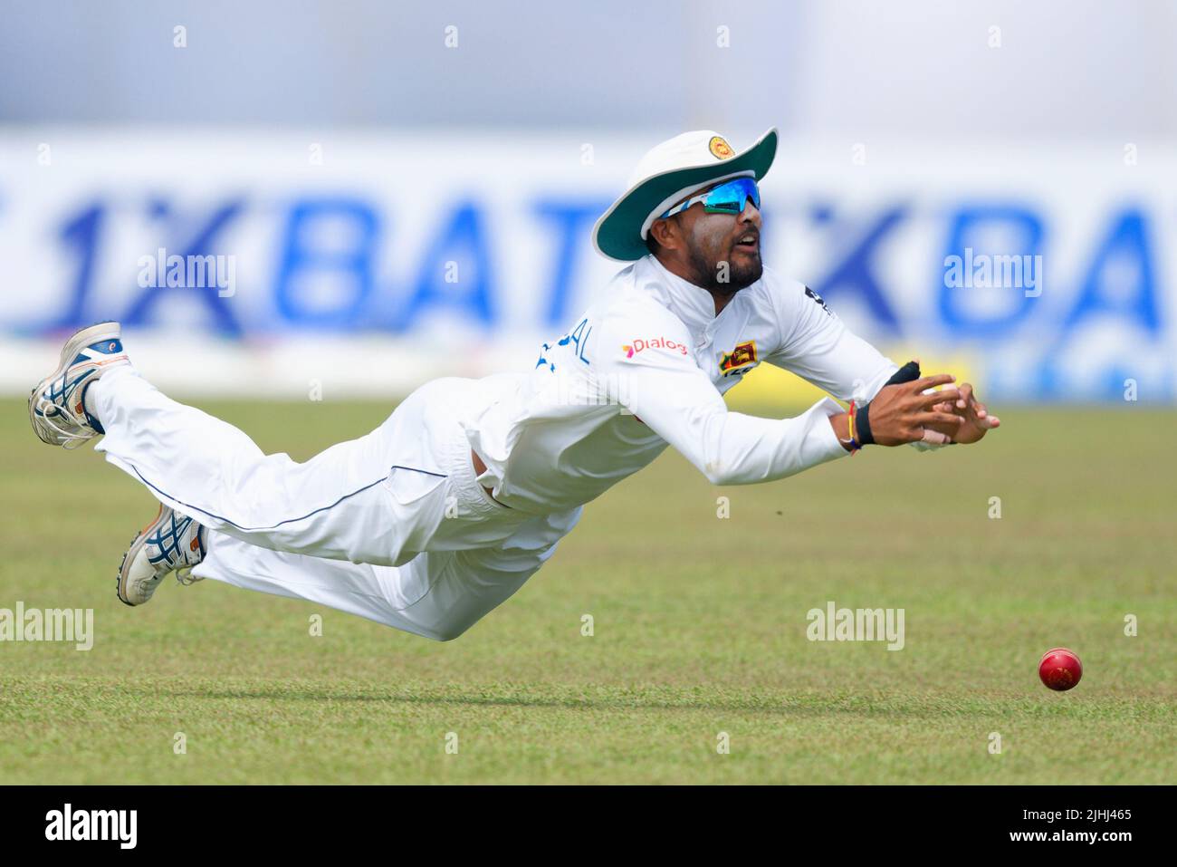 Catch A Cricket Ball