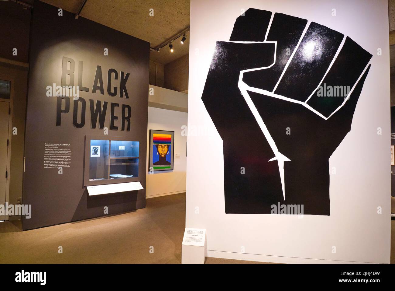 Black Power, Civil Rights era display. with iconic black fist graphic ...