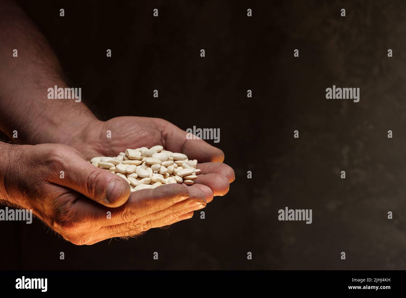 Male hands holding grains of dry kidney beans on dark background Stock ...