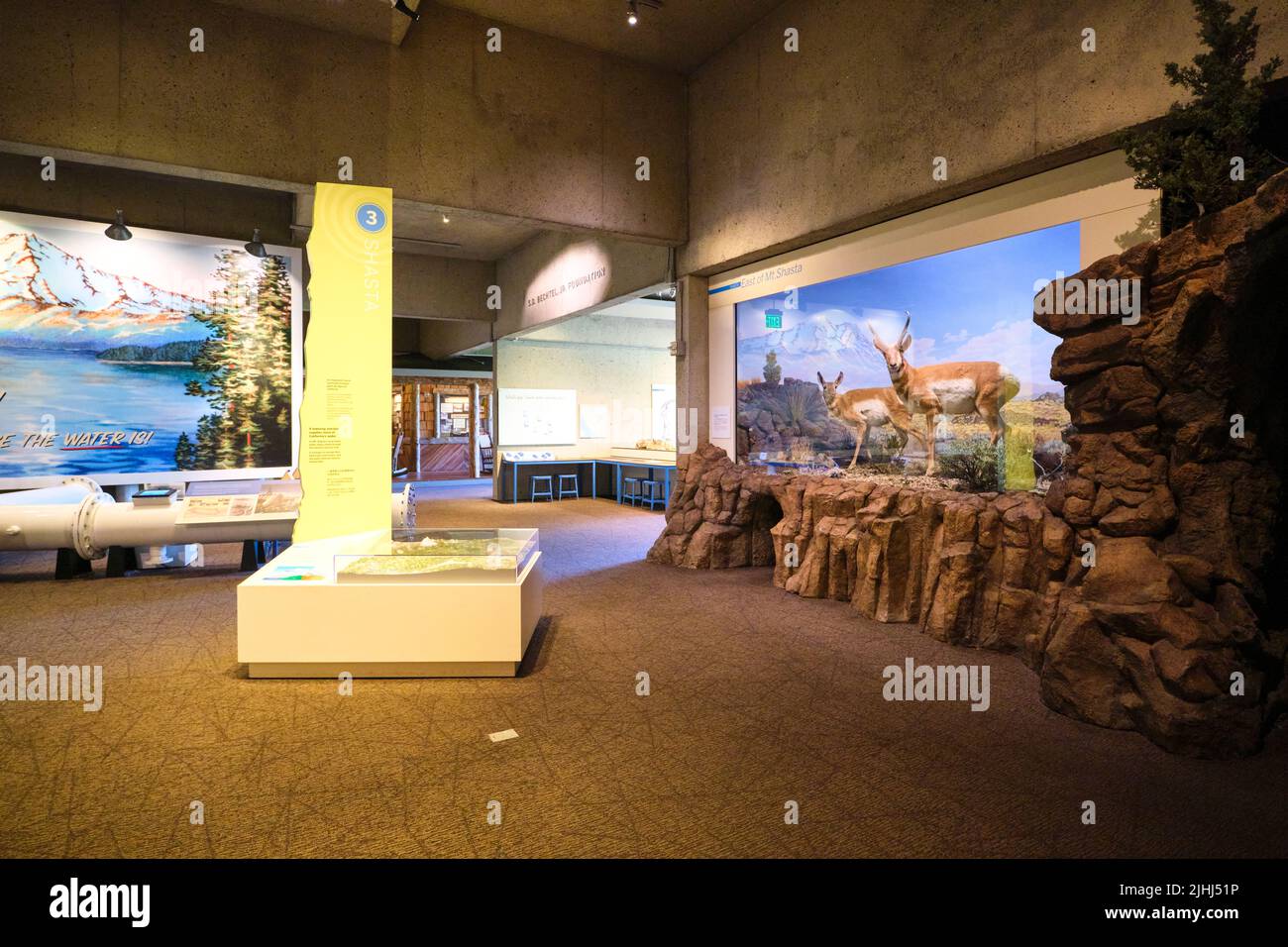 Various exhibits, displays in the nature, science section. At the ...