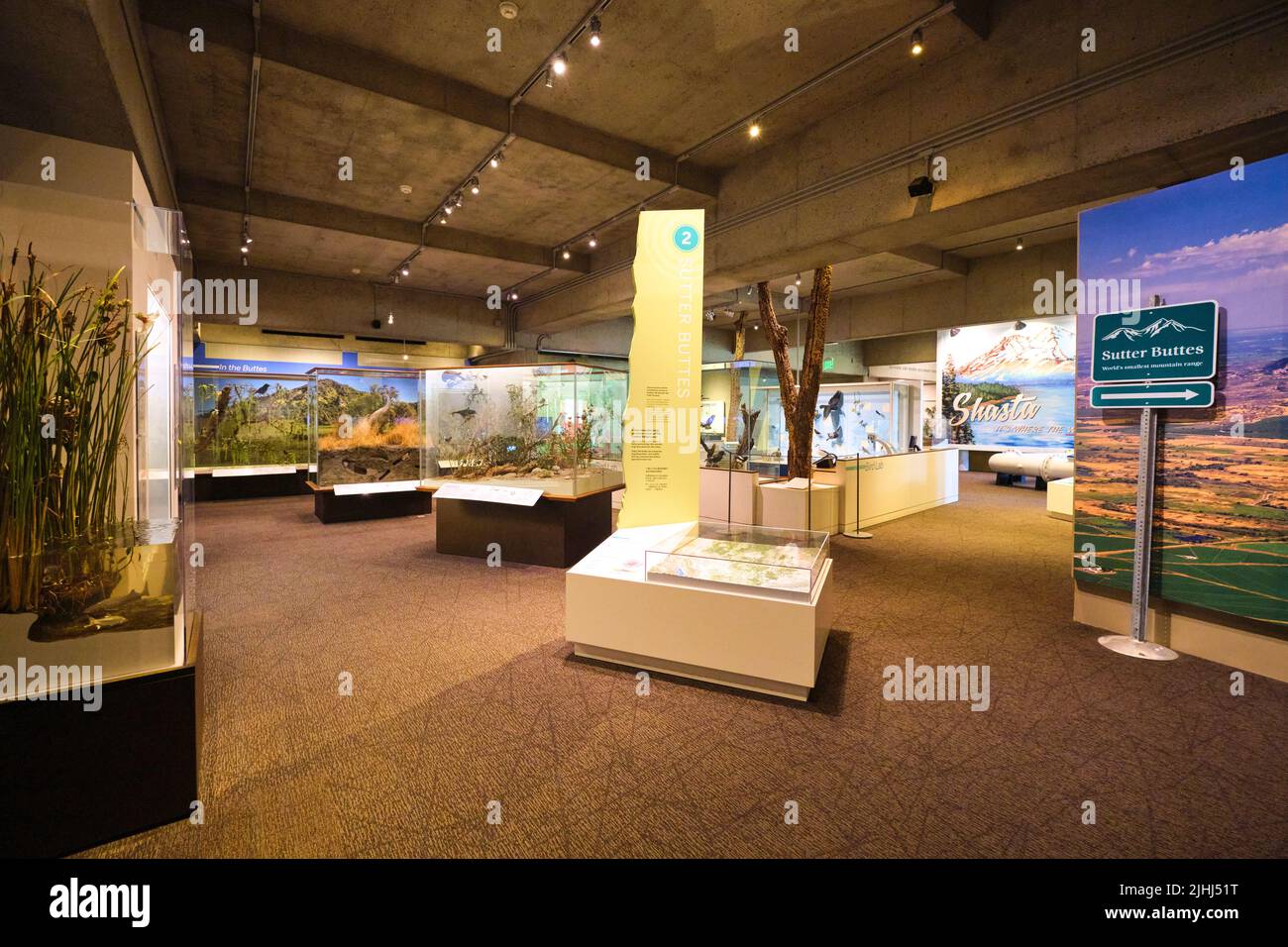 Various exhibits, displays in the nature, science section. At the ...