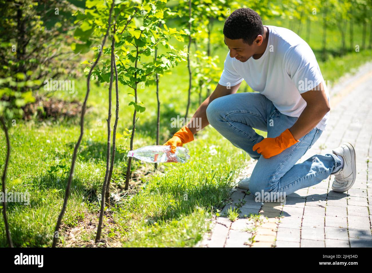 Tree dedication hi-res stock photography and images - Alamy