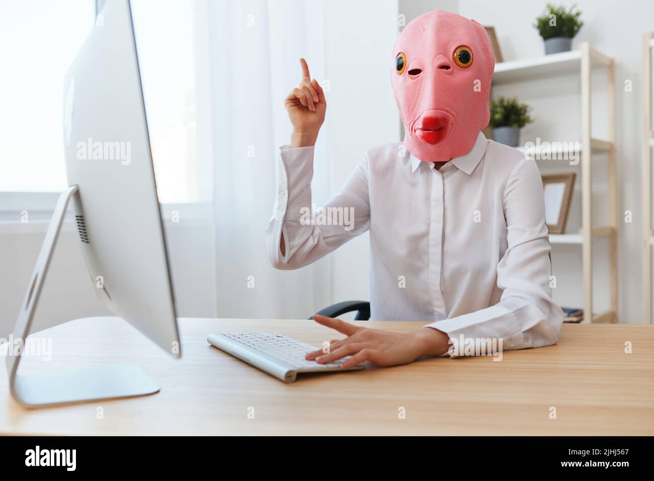 Excited crazy businesswoman worker freelancer in pink fish mask work on ...
