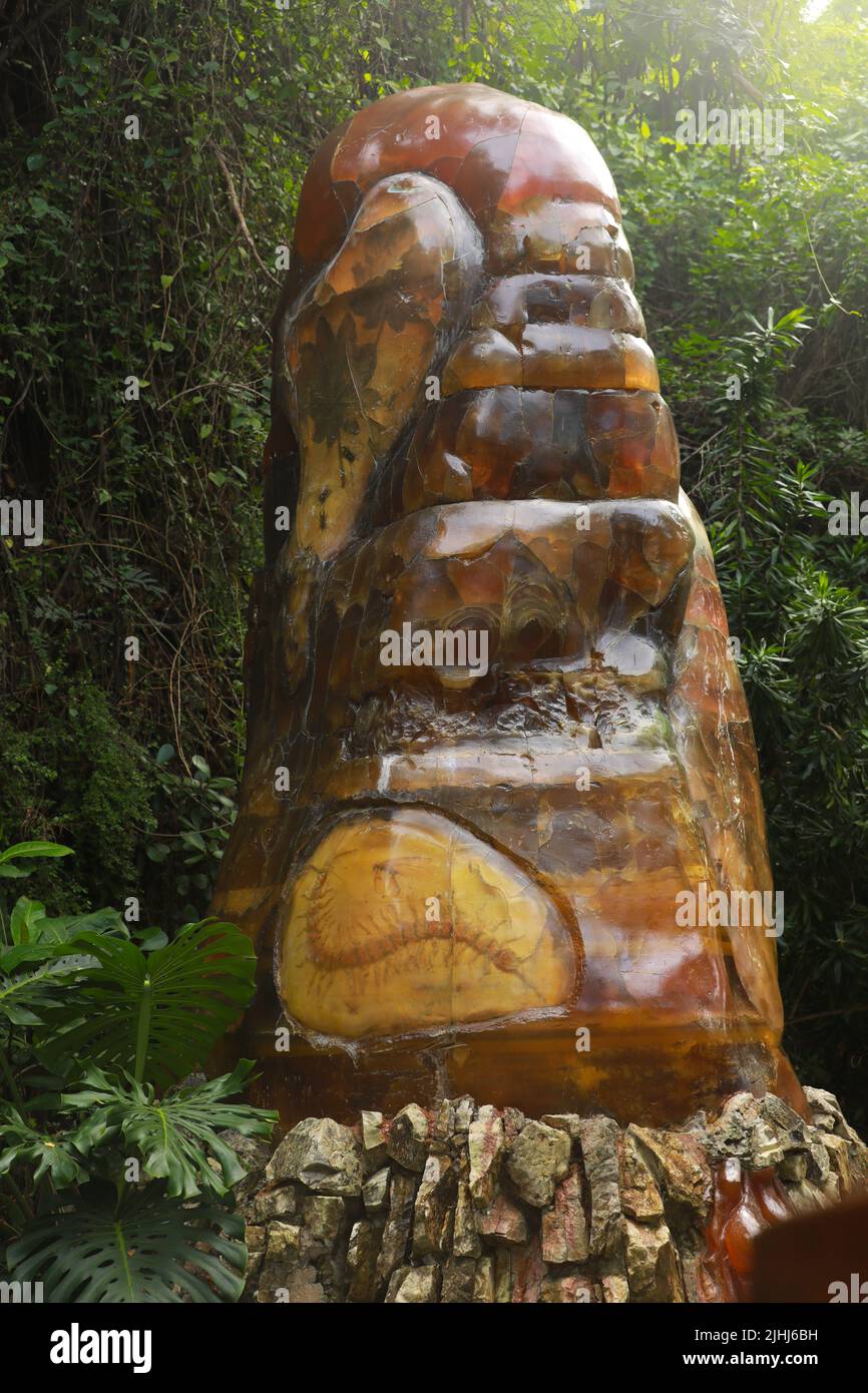 Amber Cove Jurassic Park Island,Amber Museum Dominican Republic Stock ...