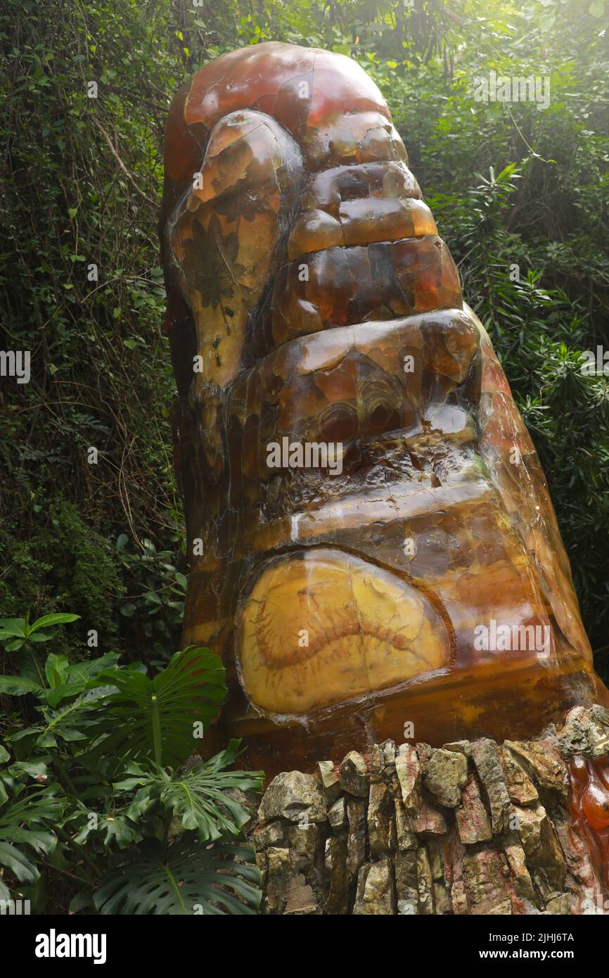 Amber Cove Jurassic Park Island,Amber Museum Dominican Republic Stock ...
