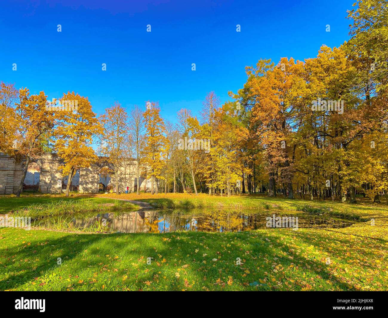 Park autumn landscape . Alleys of the park. A walk in the park. An ...