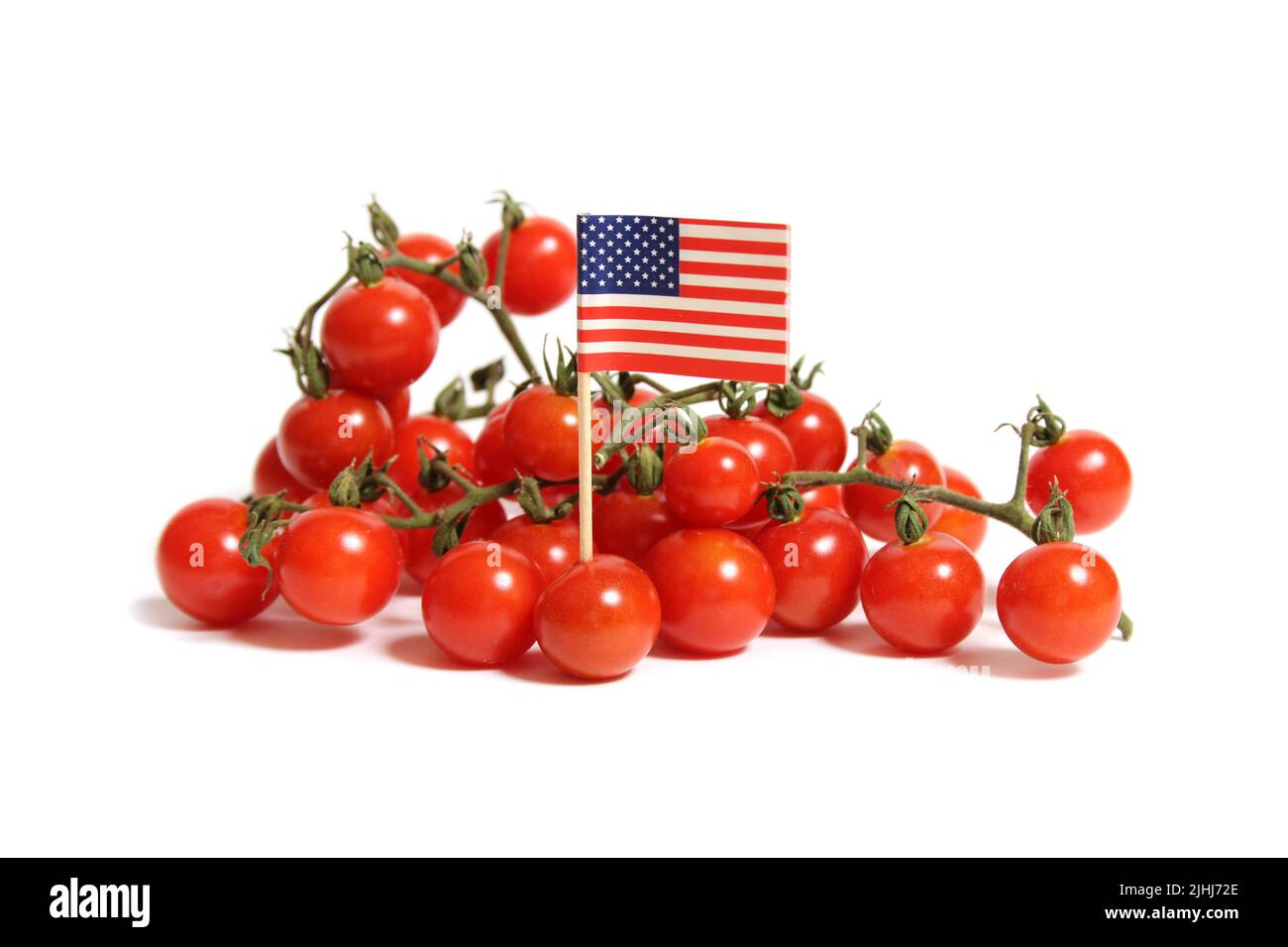 Wild Florida Everglades Cherry Tomatoes Isolated on White With American ...