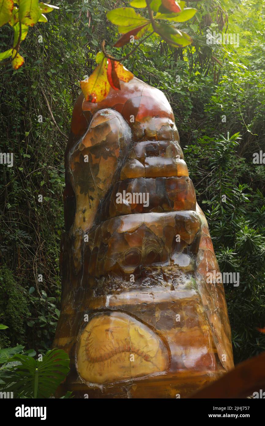 Amber Cove Jurassic Park Island,Amber Museum Dominican Republic Stock ...