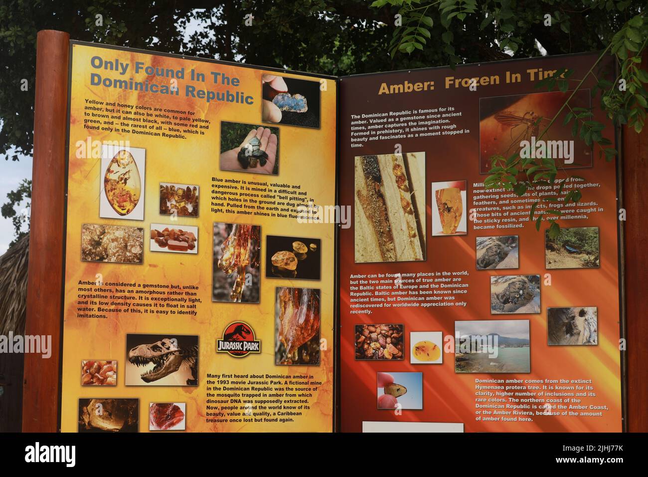 Amber Cove Jurassic Park Island,Amber Museum Dominican Republic Stock ...