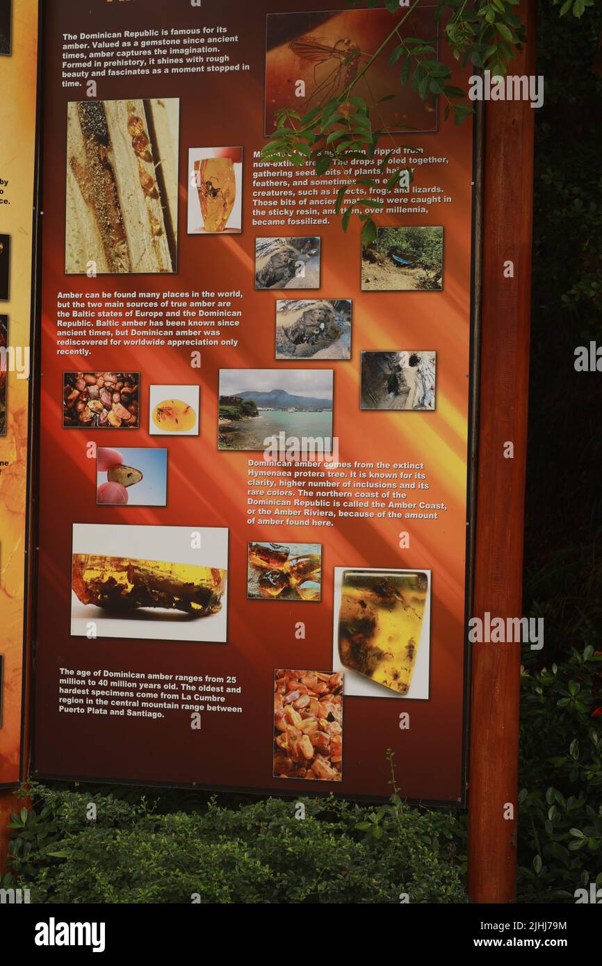 Amber Cove Jurassic Park Island,Amber Museum Dominican Republic Stock ...