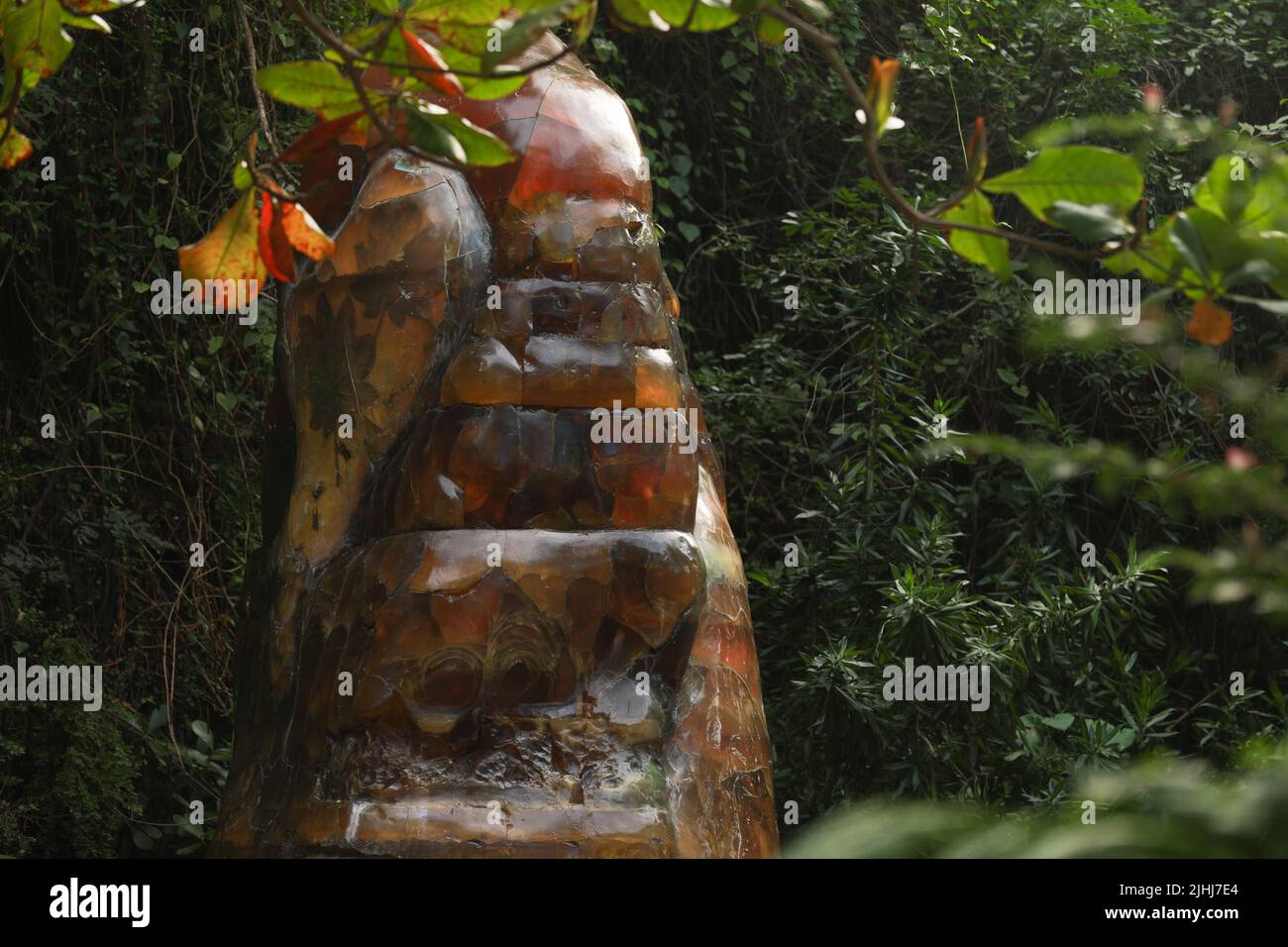 Amber Cove Jurassic Park Island,Amber Museum Dominican Republic Stock ...