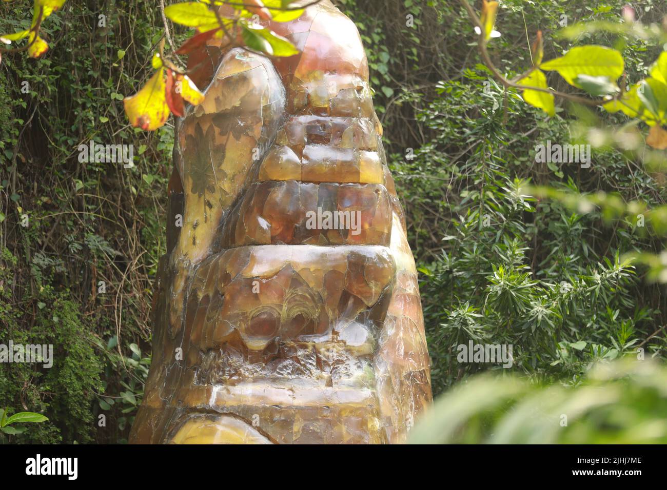 Amber Cove Jurassic Park Island,Amber Museum Dominican Republic Stock ...