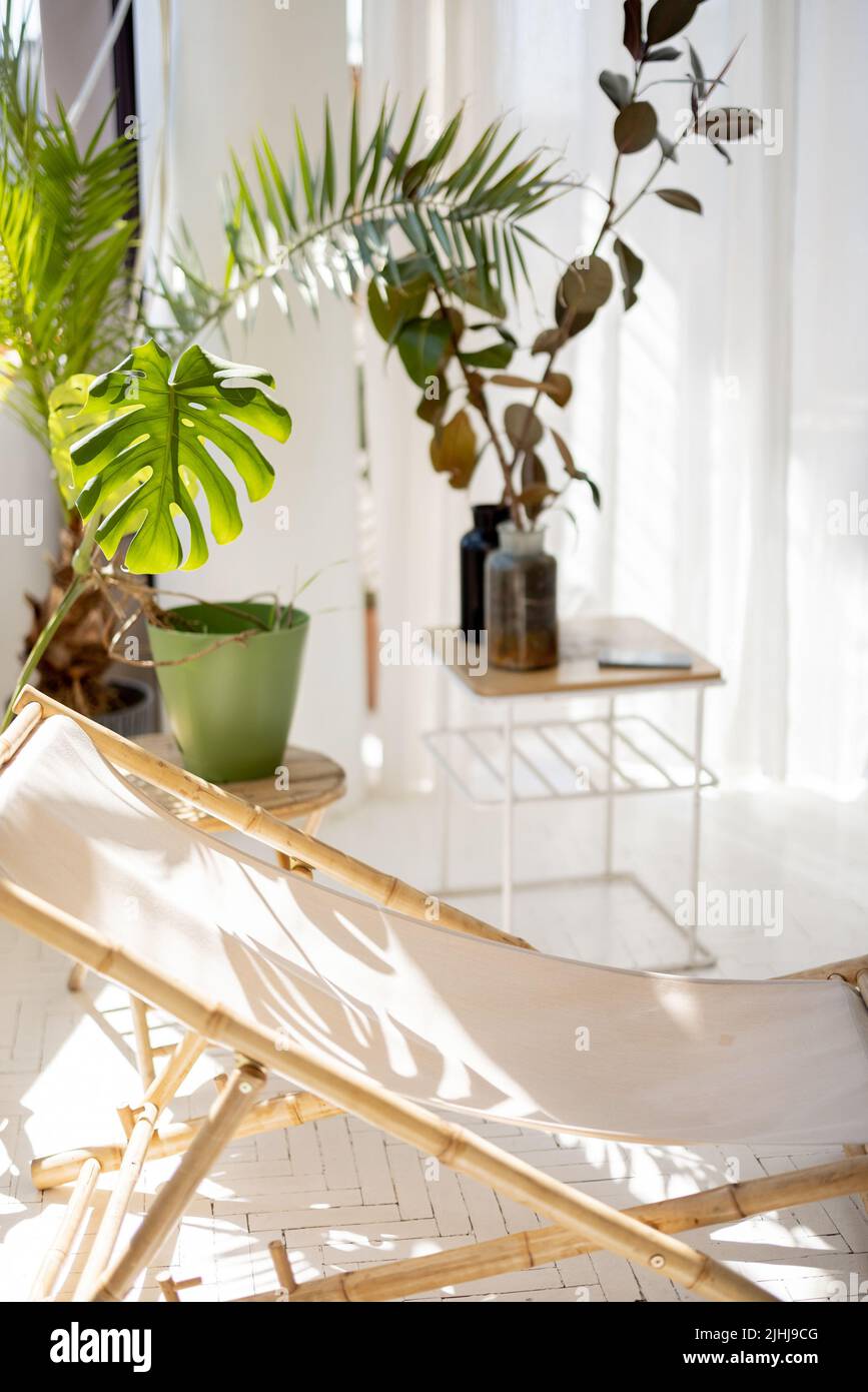 Sunny living room with green plants and sunbed Stock Photo - Alamy