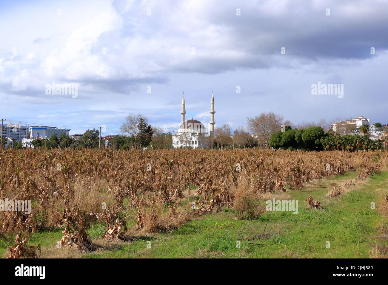 The mosque in the village. Avsallar - is a popular tourist destination ...