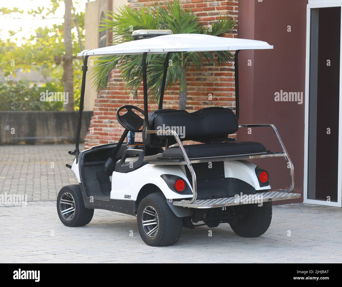 Golf cart and palm tree on blue in amber cove Stock Photo - Alamy