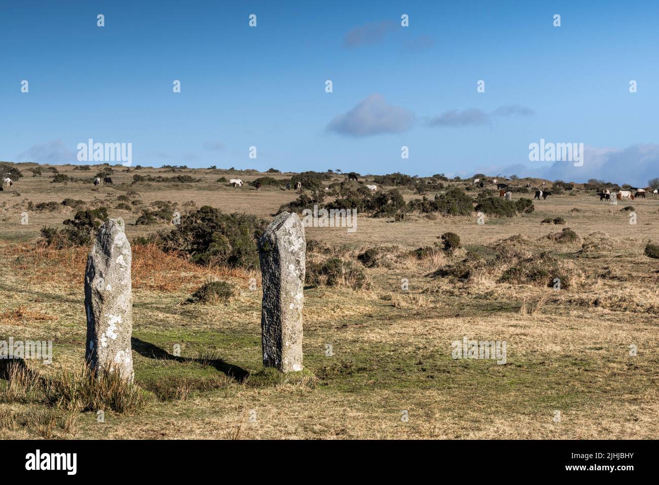 The late Neolithic early Bronze Age standing stones The Pipers on ...