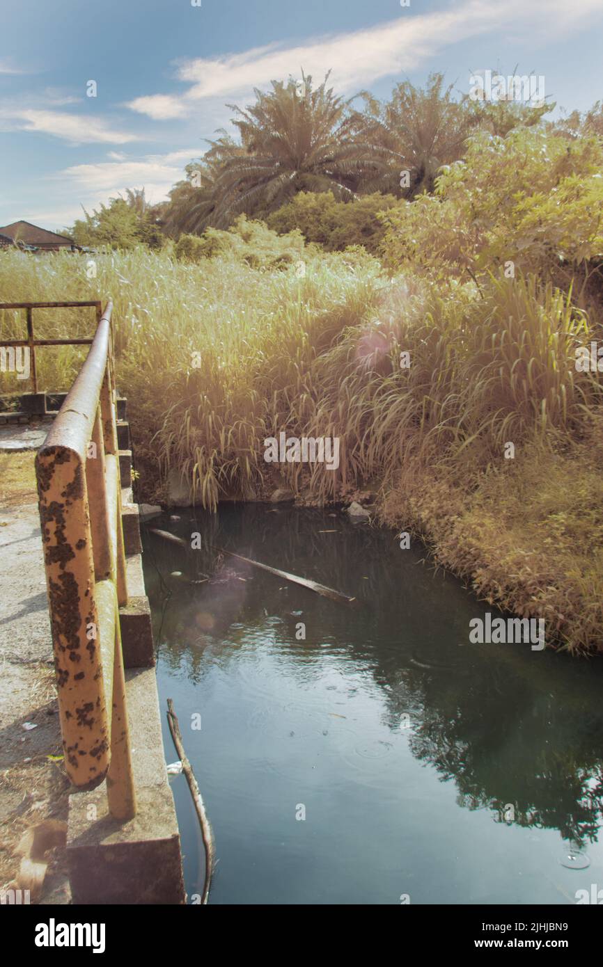 infrared image scene of foliage around the plantation lake Stock Photo ...