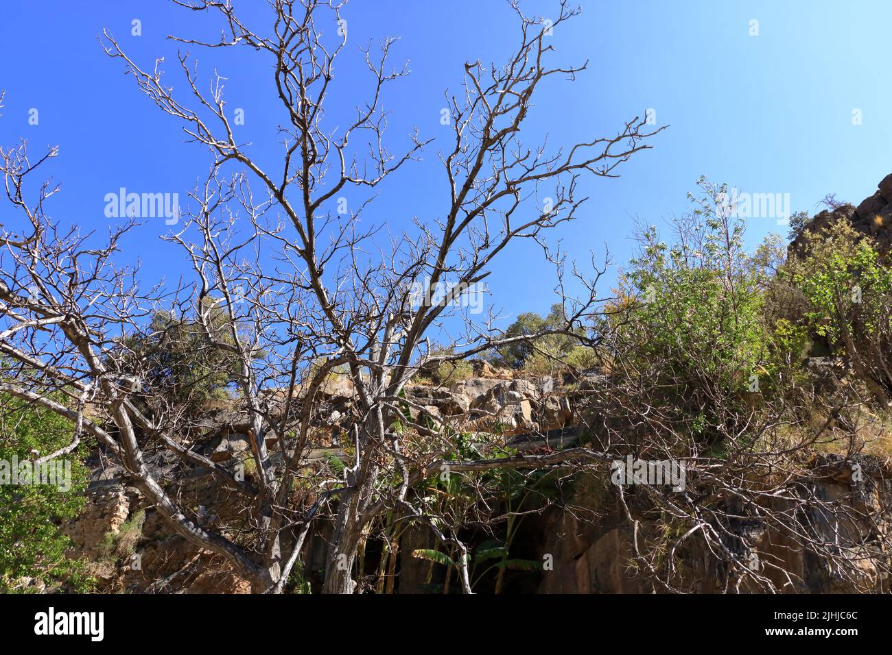 View of ruins of an abandoned village at the Wadi Bani Habib at the ...