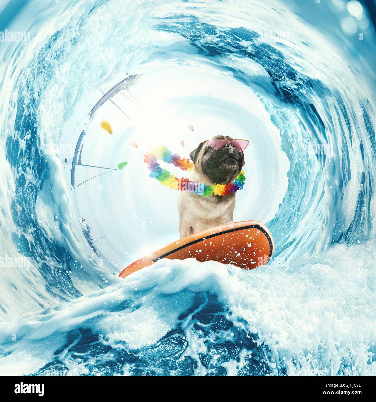 Collage with happy cute pug dog surfing on huge wave in ocean or sea on ...