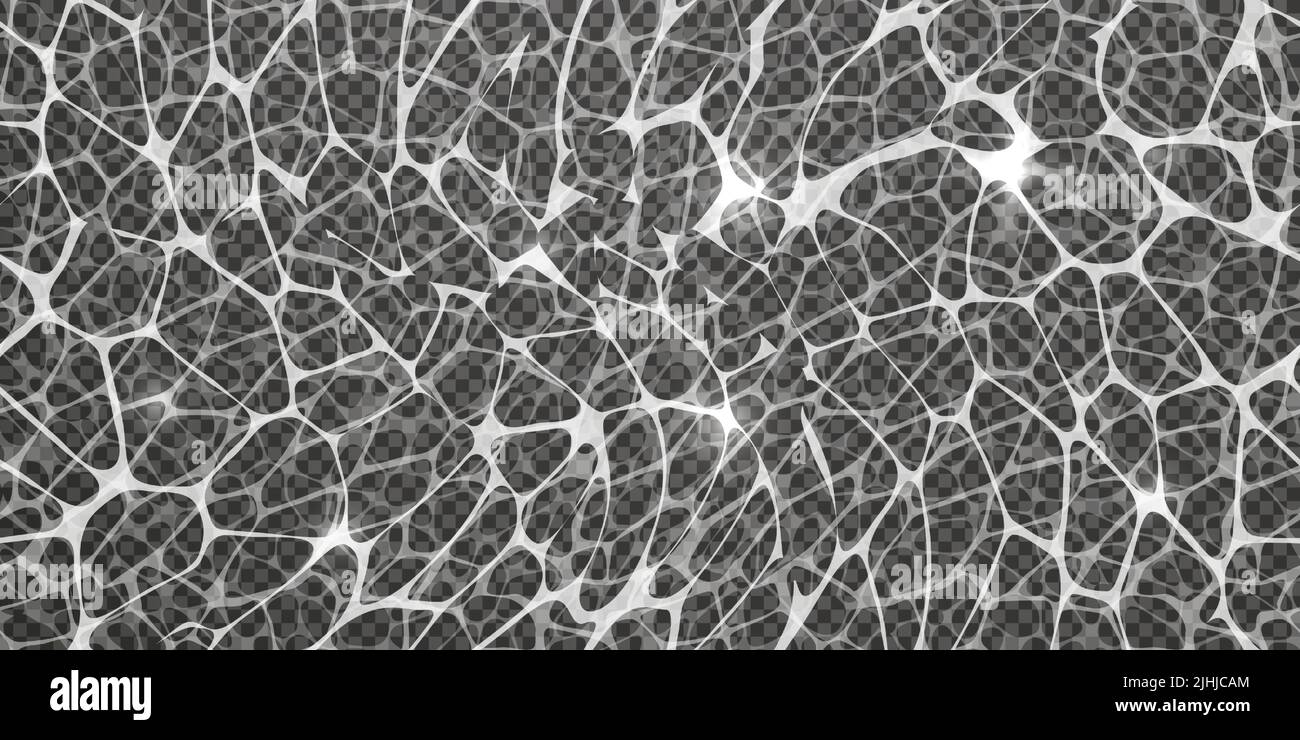 Top view of transparent imitation of water movement under illumination ...