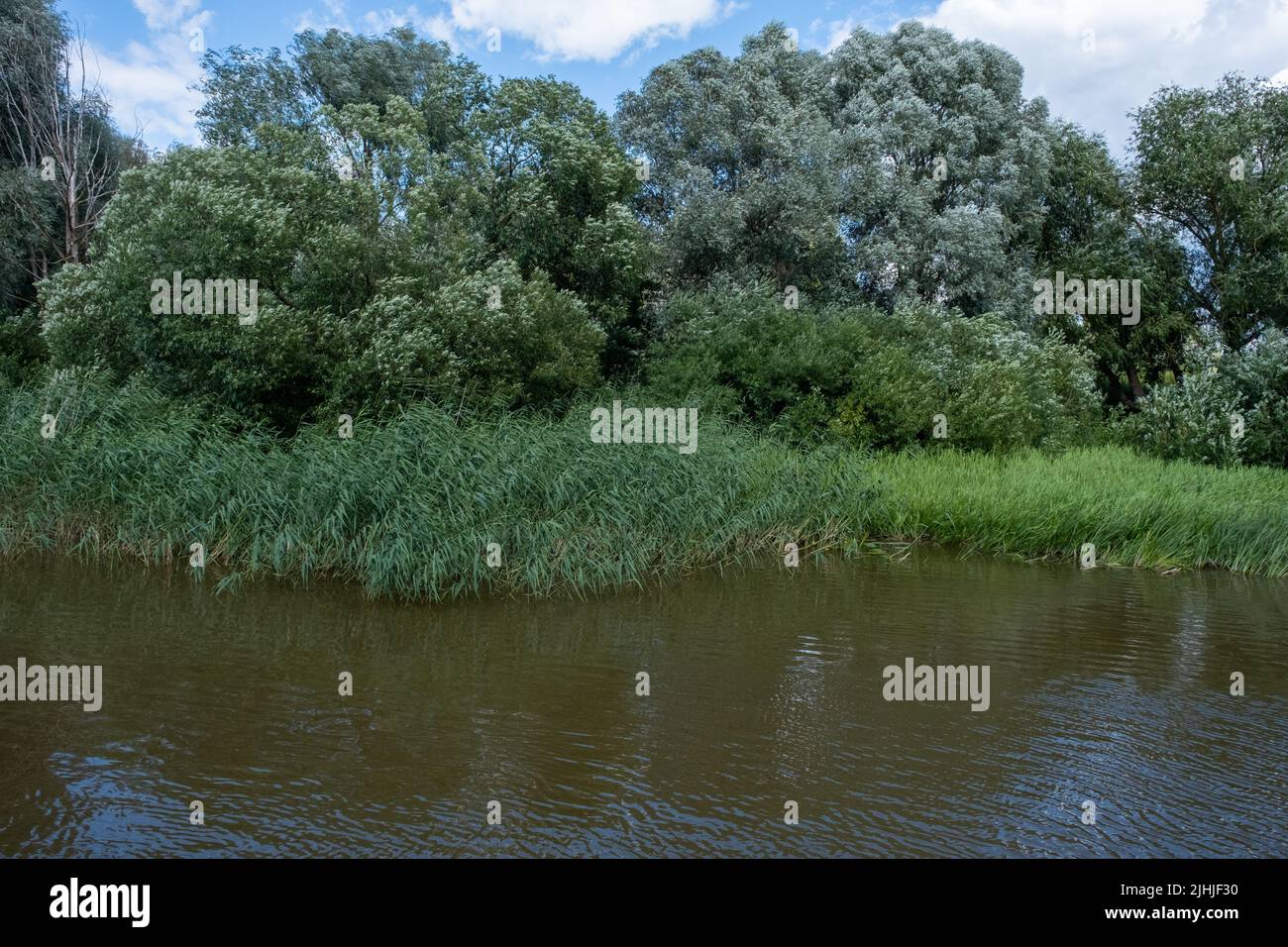 Emajogi, the largest river in Estonia. flows through the second largest ...