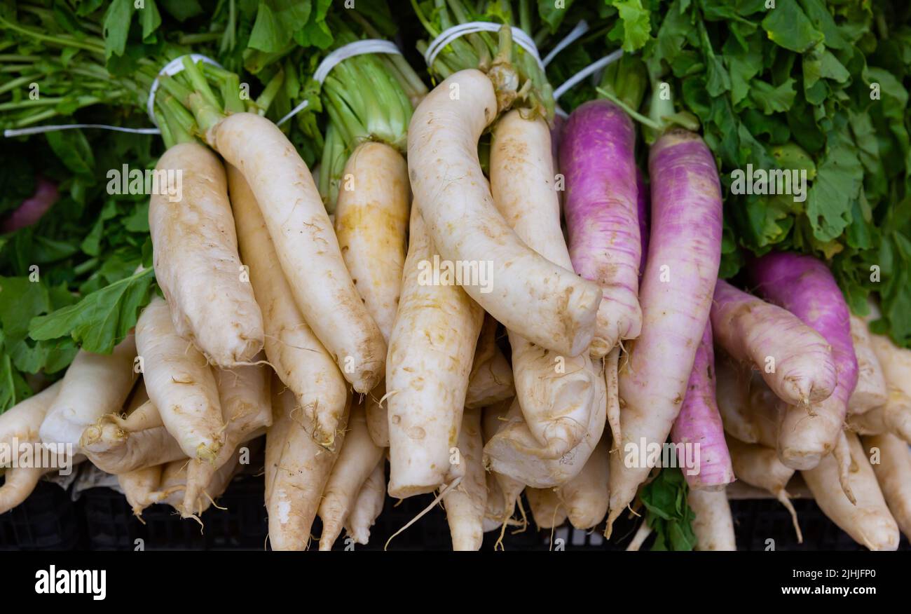 White radish in boxes on counter Stock Photo - Alamy