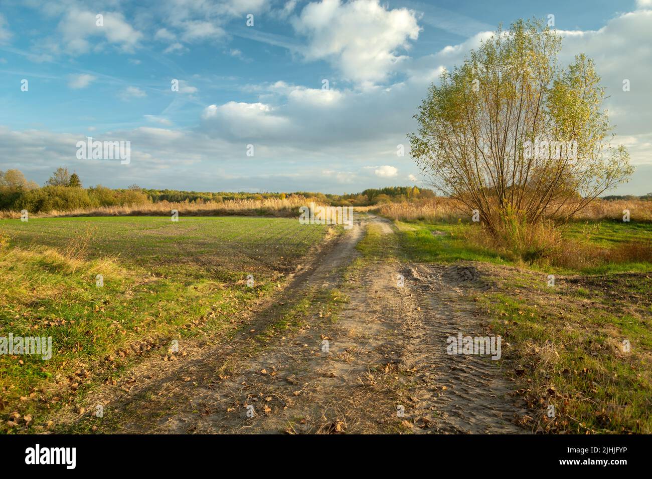 Rural areas hi-res stock photography and images - Alamy