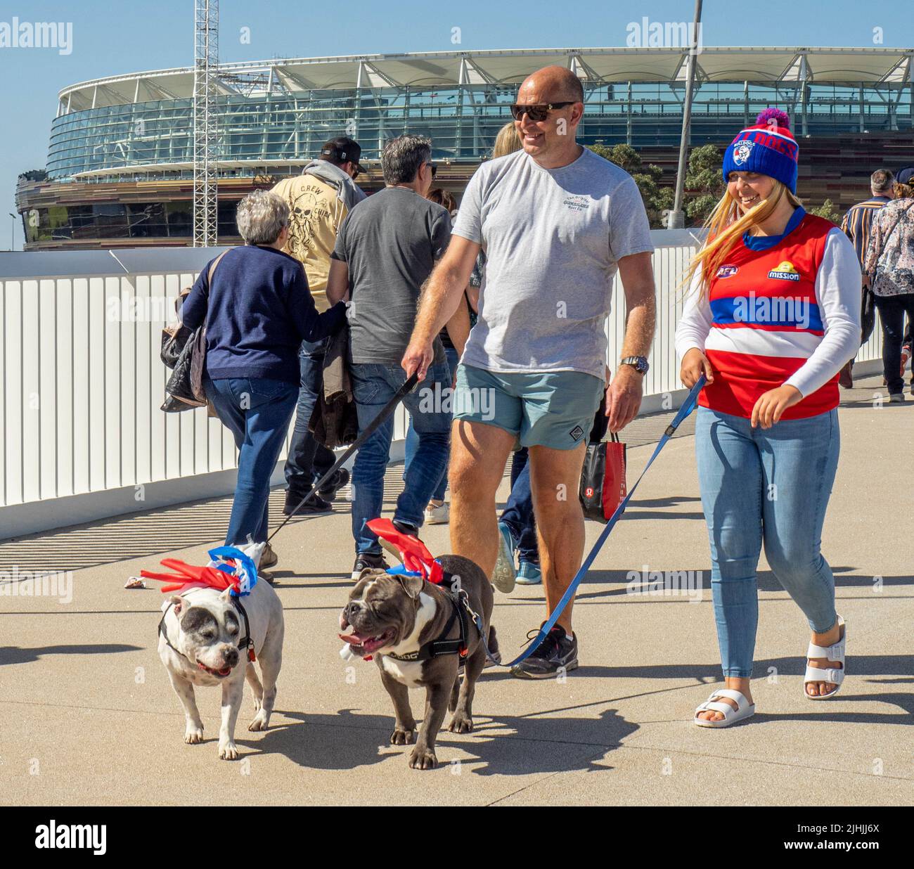 Western Bulldogs fans with two bulldogs walking across Matagarup Bridge ...