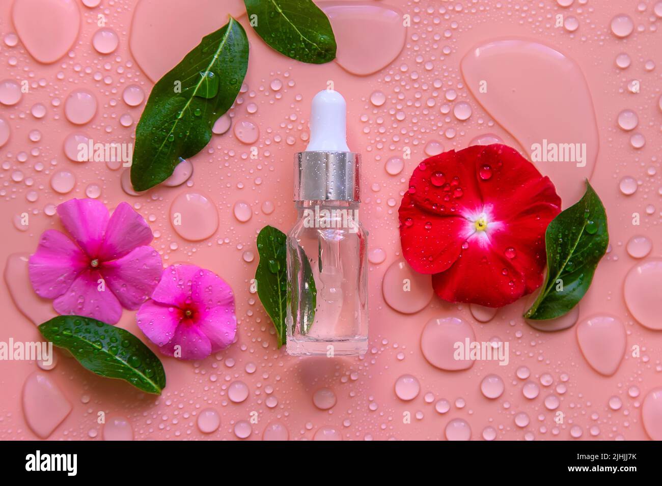 Background with water drops cosmetics in a bottle and flowers ...