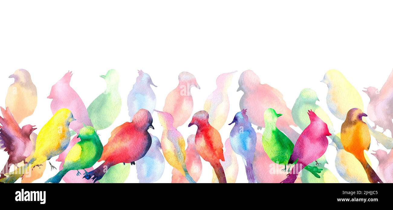 Banner of colorful birds silhouette watercolor illustration white ...