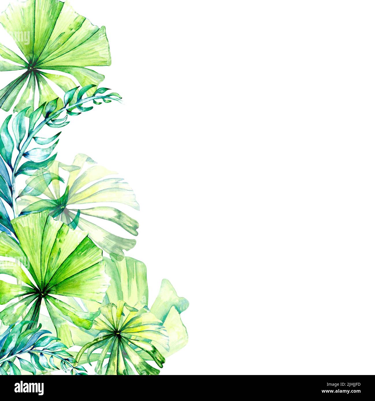 Exotic multicolor plants, tropical leaves, palm border watercolor ...