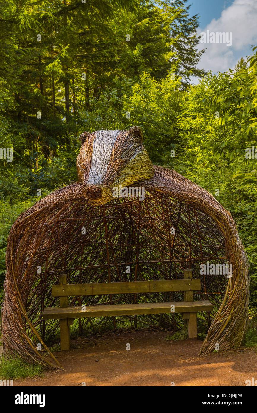 Badger Bench, Sculpture Trail, Forest of Dean Stock Photo - Alamy