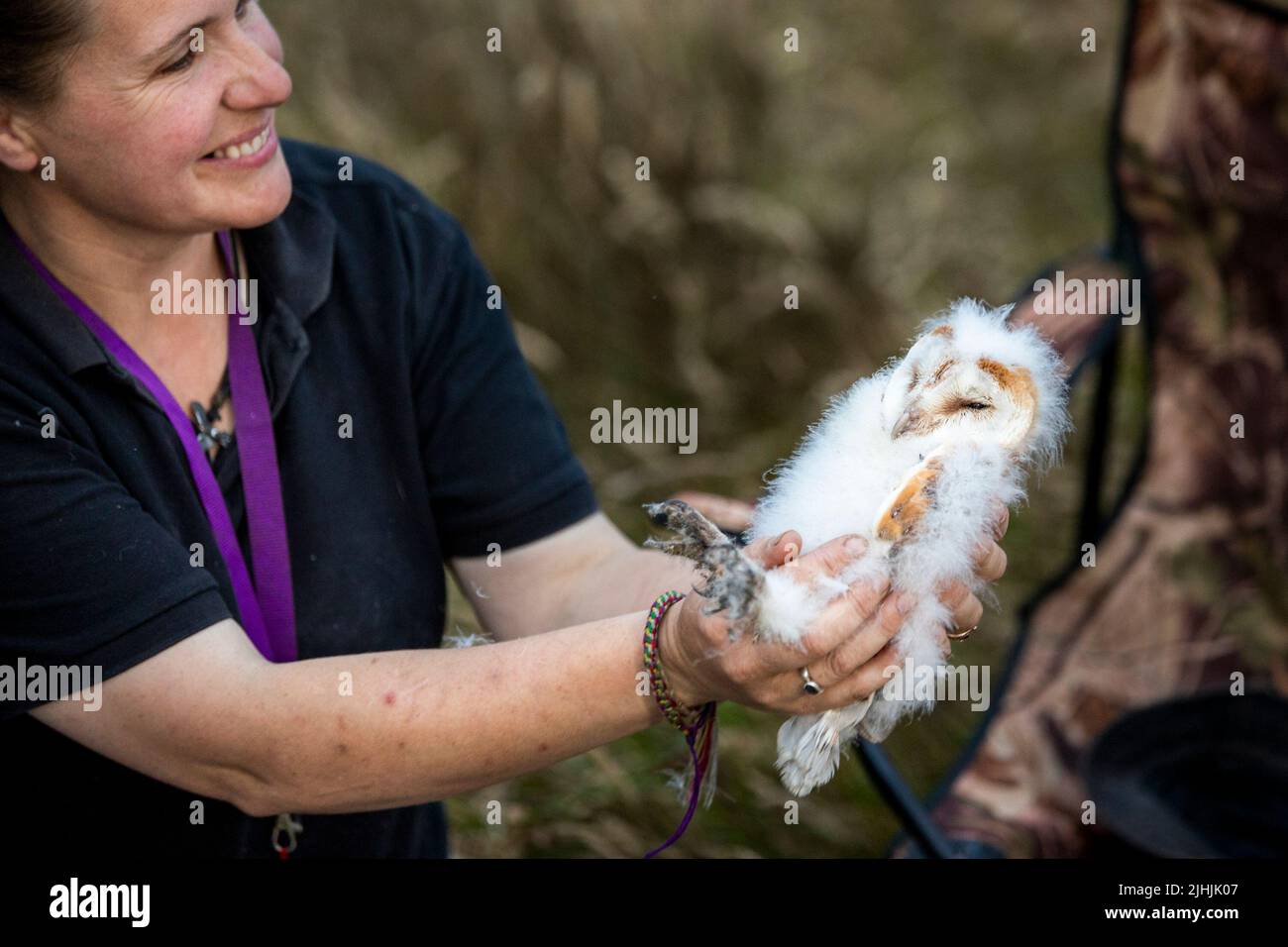 Licensed ringer Debbie Nelson ringing a barn owlet close to the shores ...