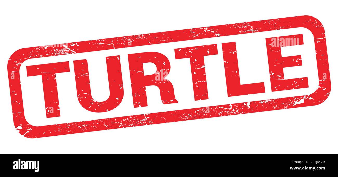 TURTLE text written on red rectangle stamp sign Stock Photo - Alamy