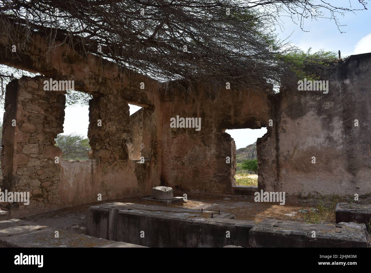 Historic Balashi Gold Mill ruins being reclaimed by nature in Aruba ...