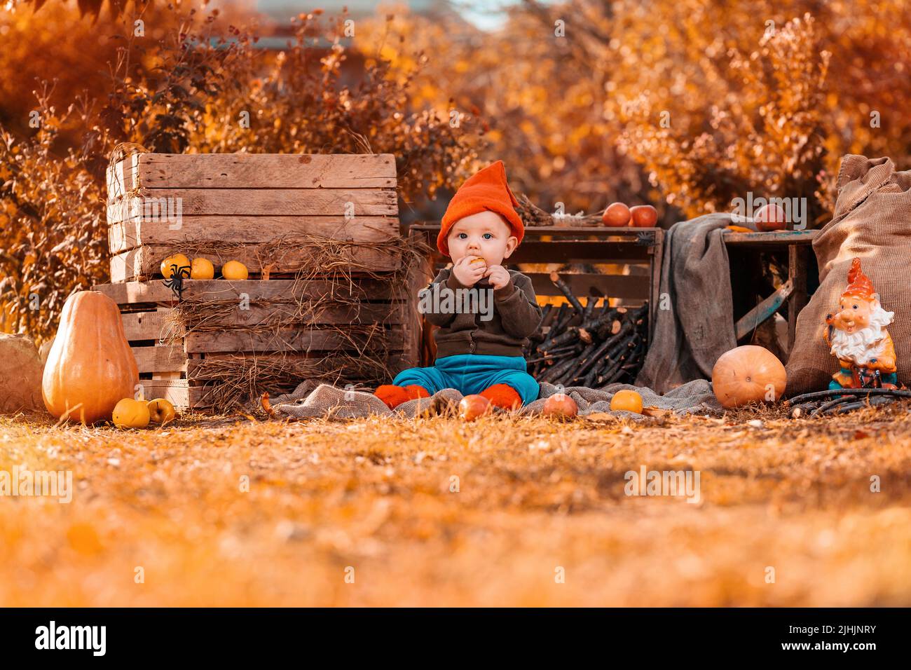 Halloween. Cute little boy in a gnome costume sitting on the grass with ...