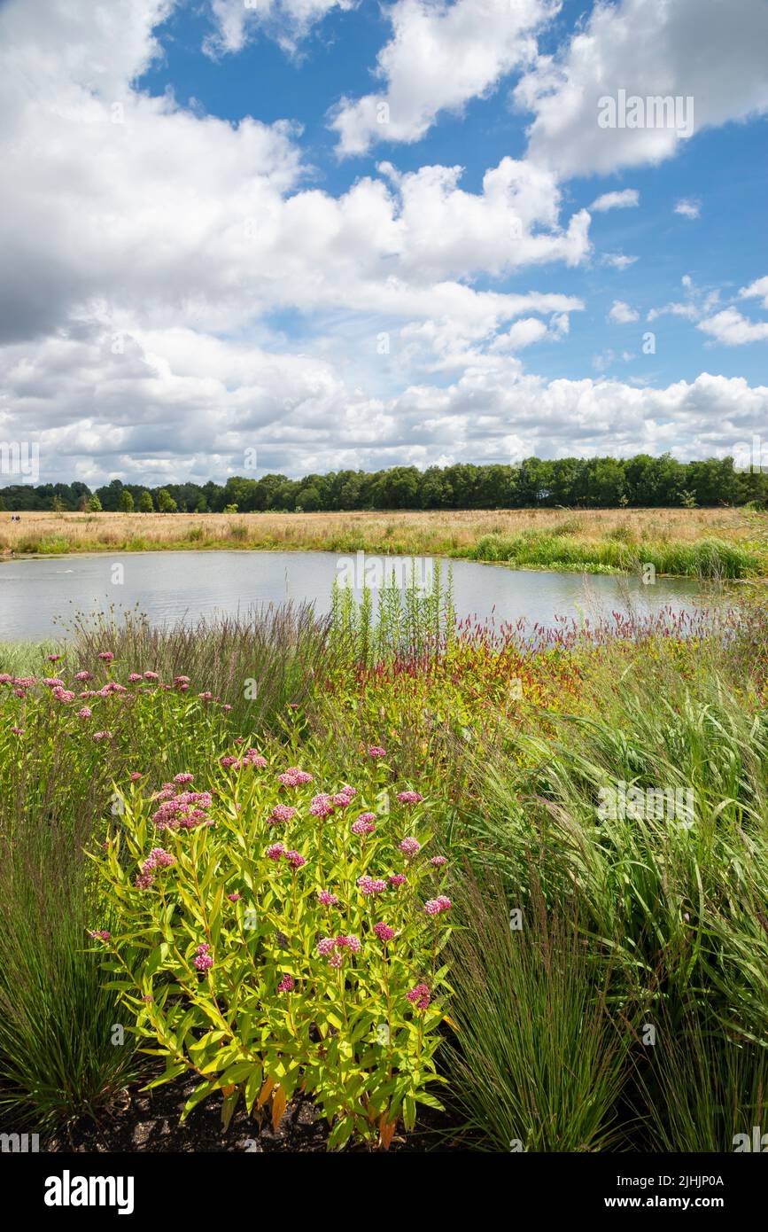 The Worsley Welcome garden and lake at RHS Bridgewater, a new garden in ...