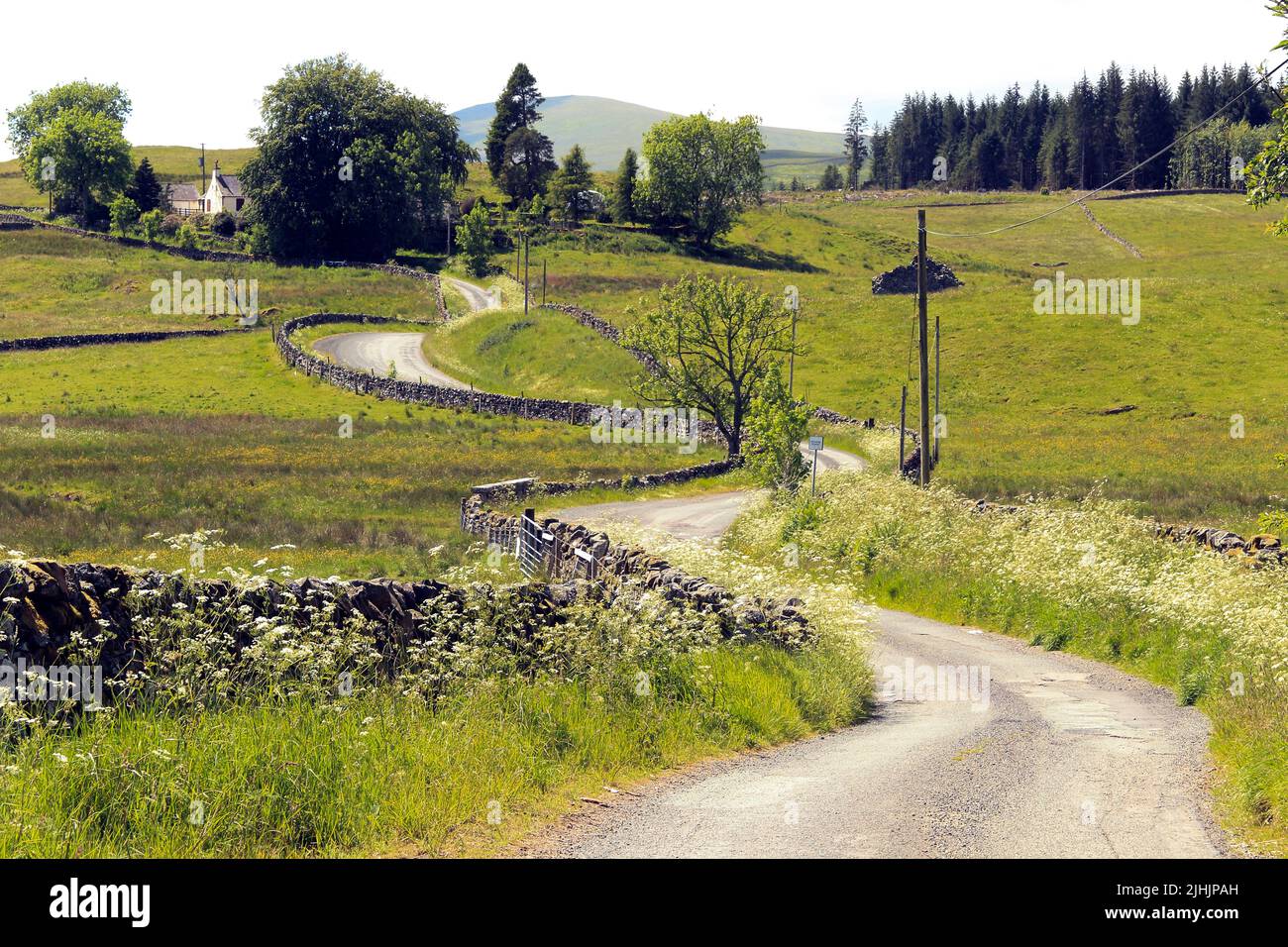 Winding road, Crooked Road, near Beattock, Dumfries & Galloway ...