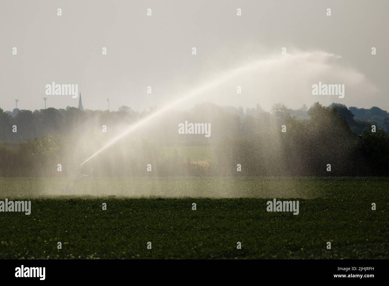 During the heatwave of 2022, Britain reached 40 degrees for the first ...