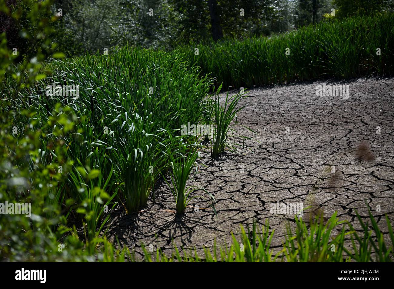 2022 dry ground hi-res stock photography and images - Alamy