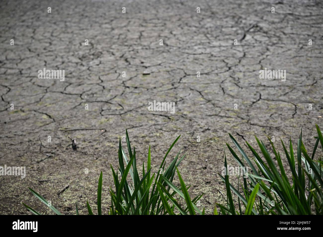 2022 dry ground hi-res stock photography and images - Alamy
