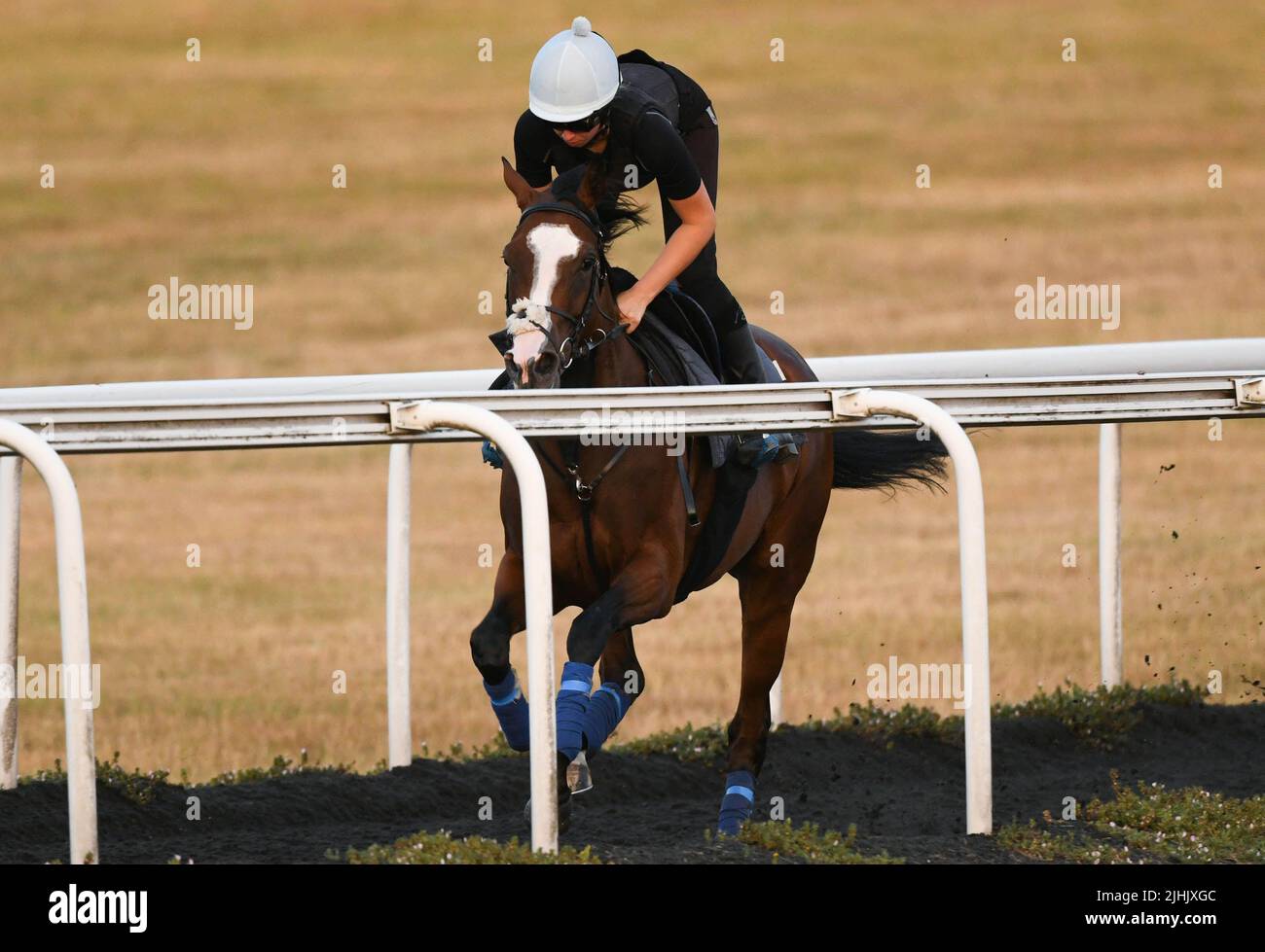 EDITORIAL USE ONLY Four-year-old filly, Free Wind trains up the Warren ...
