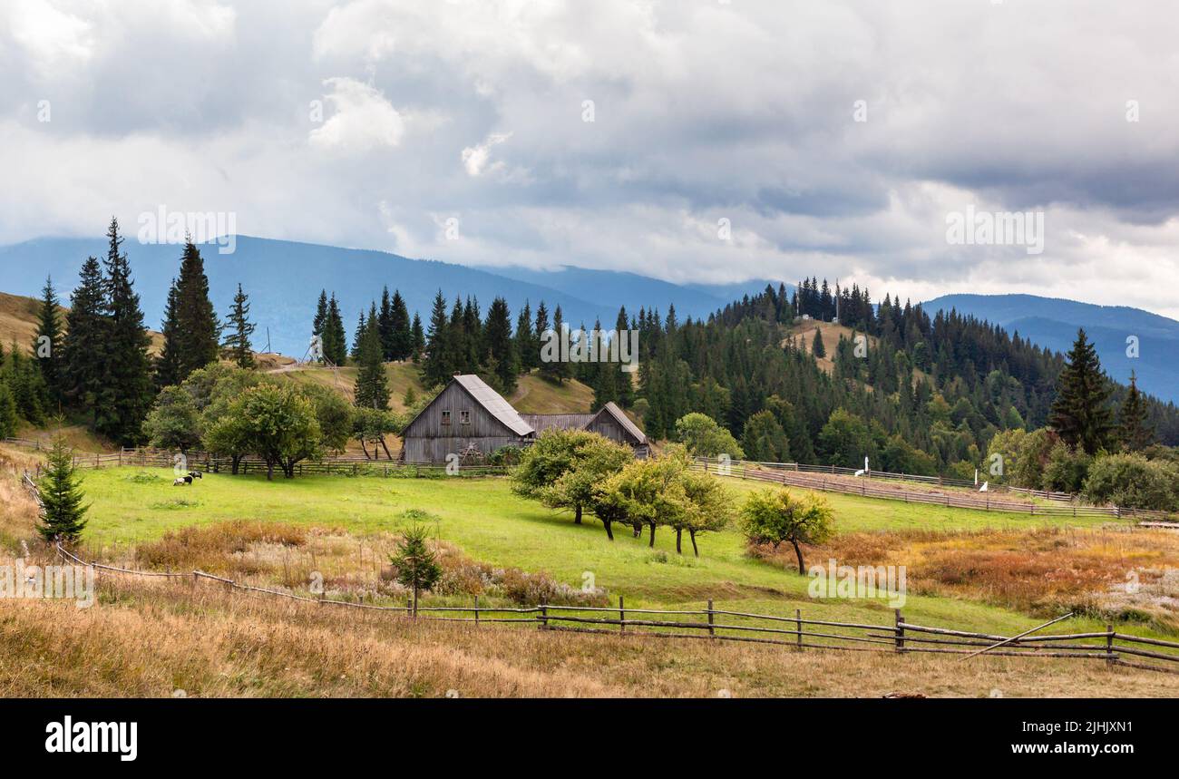Old house near Yasinya village. Carpathian mountains, Ukraine Stock ...