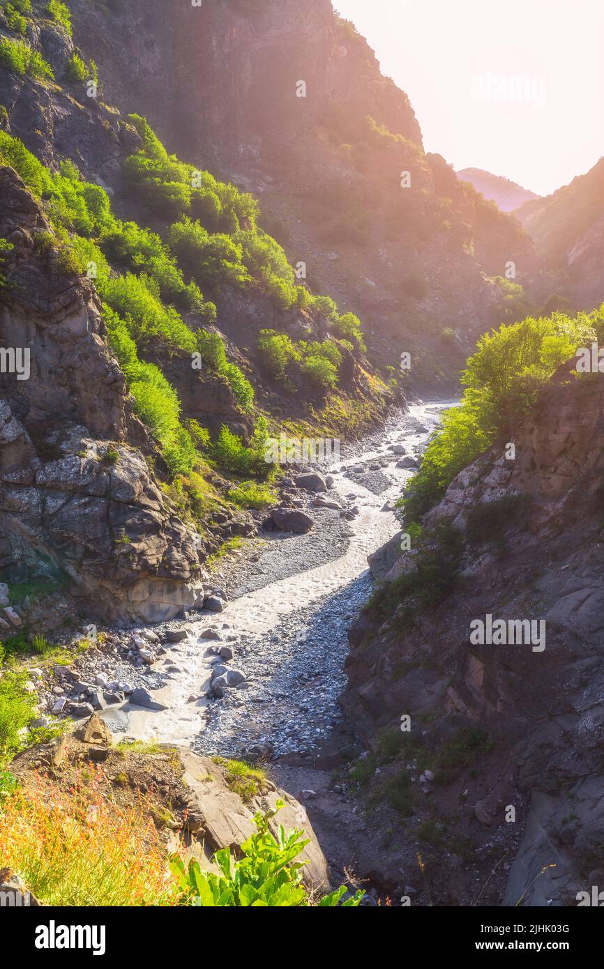 Mountain river gorge early in the morning Stock Photo - Alamy