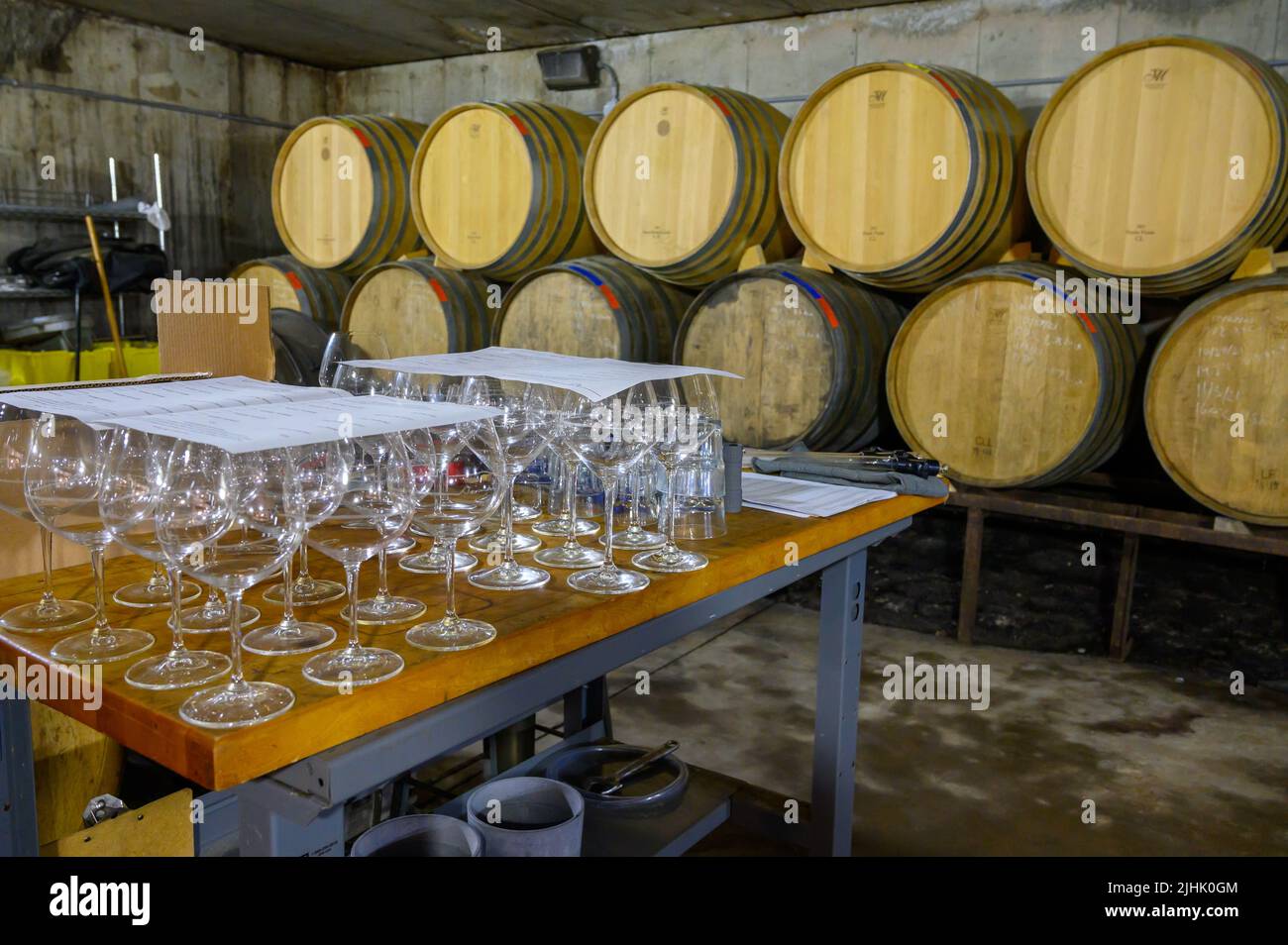 Stacked oak barrels with wine and glasses ready for tasting in the cellar at Norman Hardie ...
