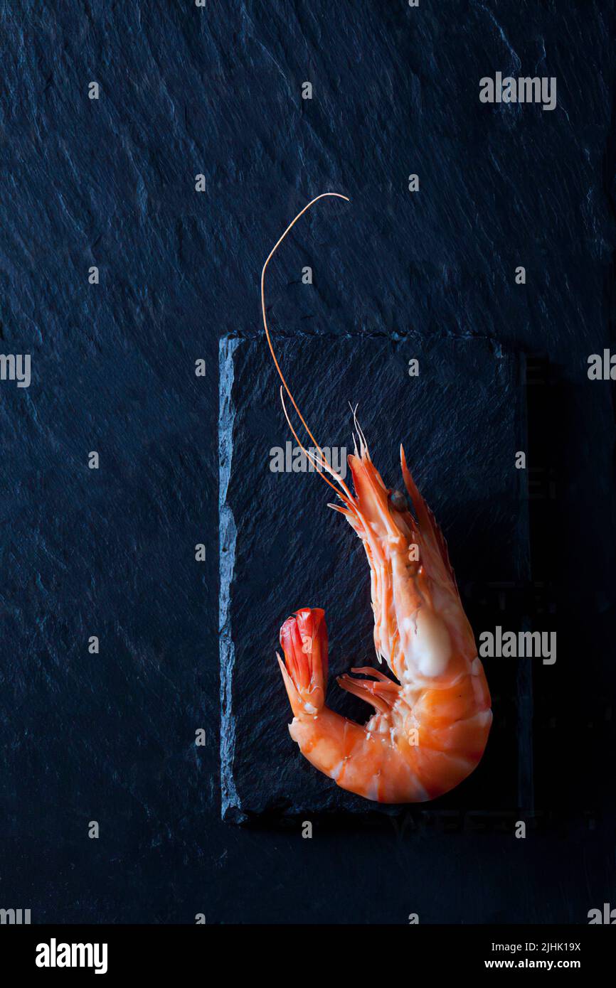 Boiled prawn on black slate, top view Stock Photo - Alamy