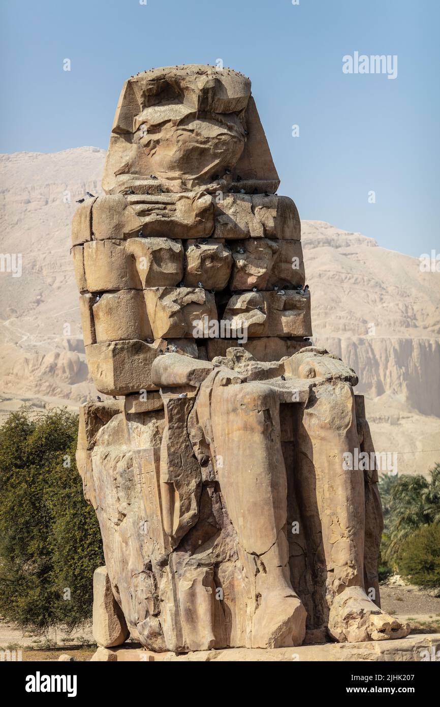 Beautiful daytime view of the Colossi of Memnon. Two large stone ...
